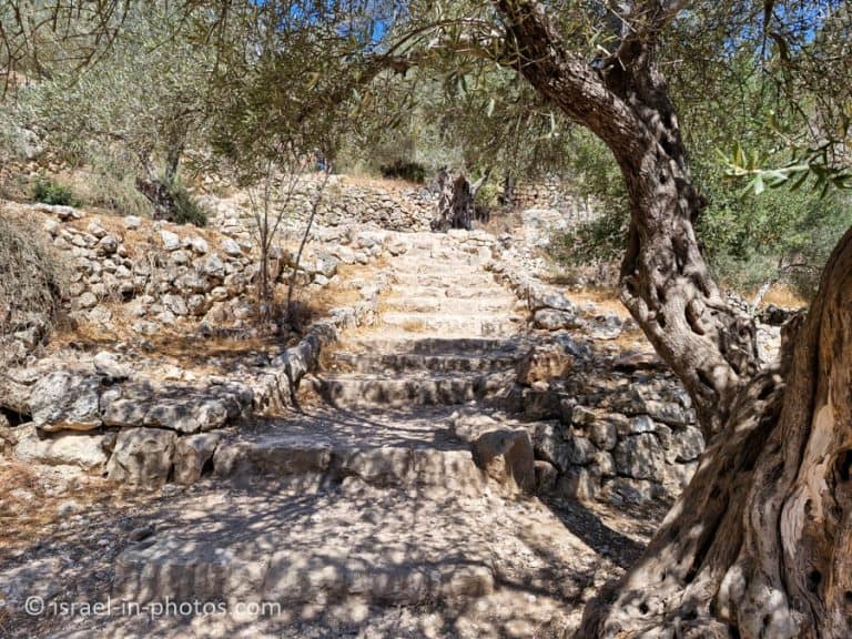 Sataf - Hiking Trails near Jerusalem - Visitors Guide - Israel in Photos