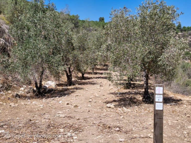 Sataf - Hiking Trails near Jerusalem - Visitors Guide - Israel in Photos