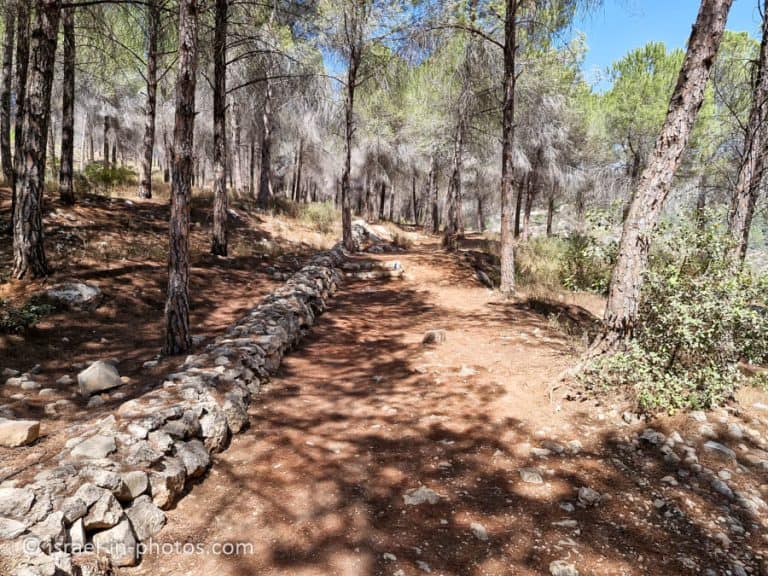 Sataf - Hiking Trails near Jerusalem - Visitors Guide - Israel in Photos