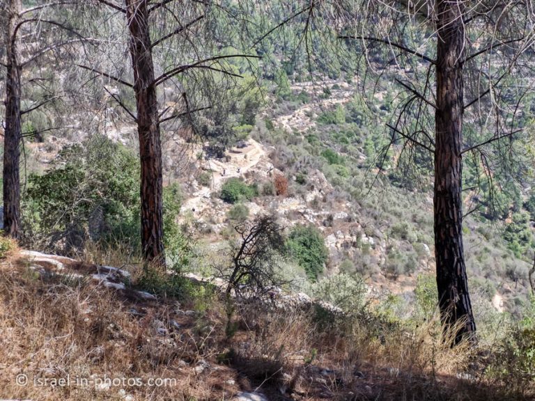 Sataf - Hiking Trails near Jerusalem - Visitors Guide - Israel in Photos