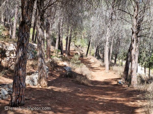 Sataf - Hiking Trails near Jerusalem - Visitors Guide - Israel in Photos