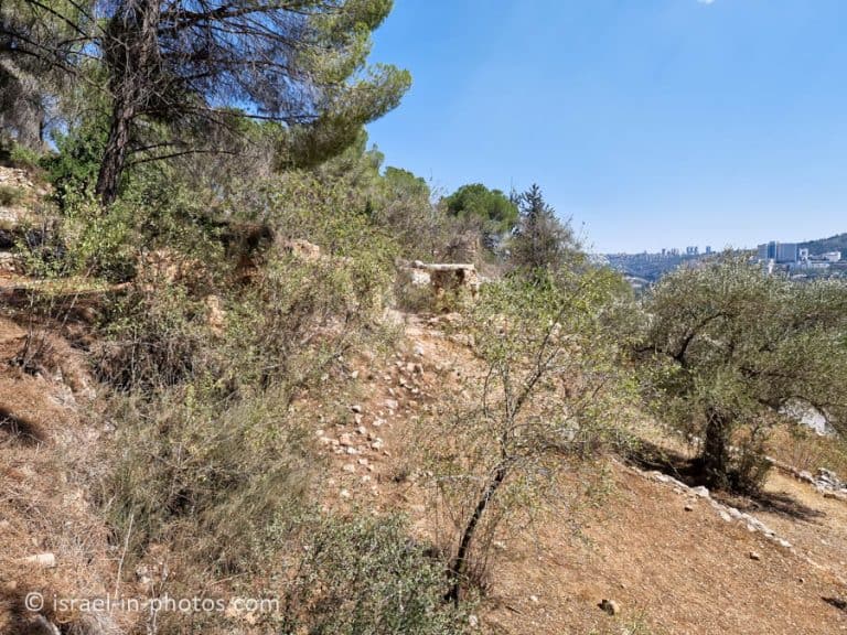 Sataf - Hiking Trails near Jerusalem - Visitors Guide - Israel in Photos